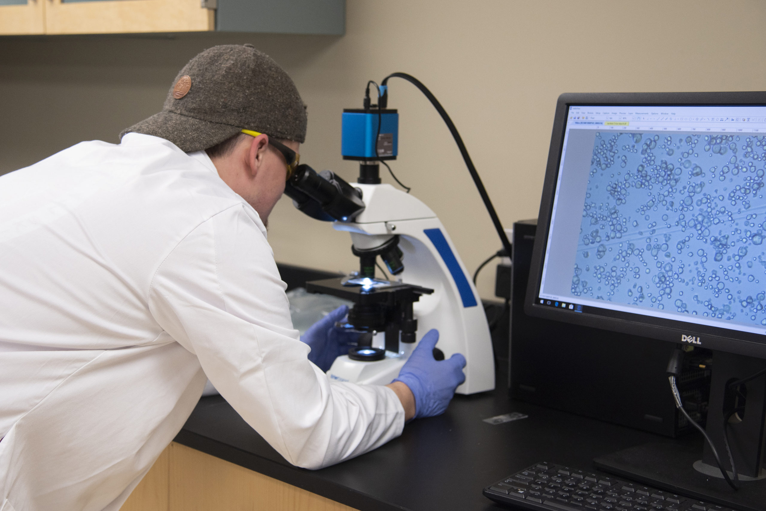 Department of Food Science | Department of Food Science