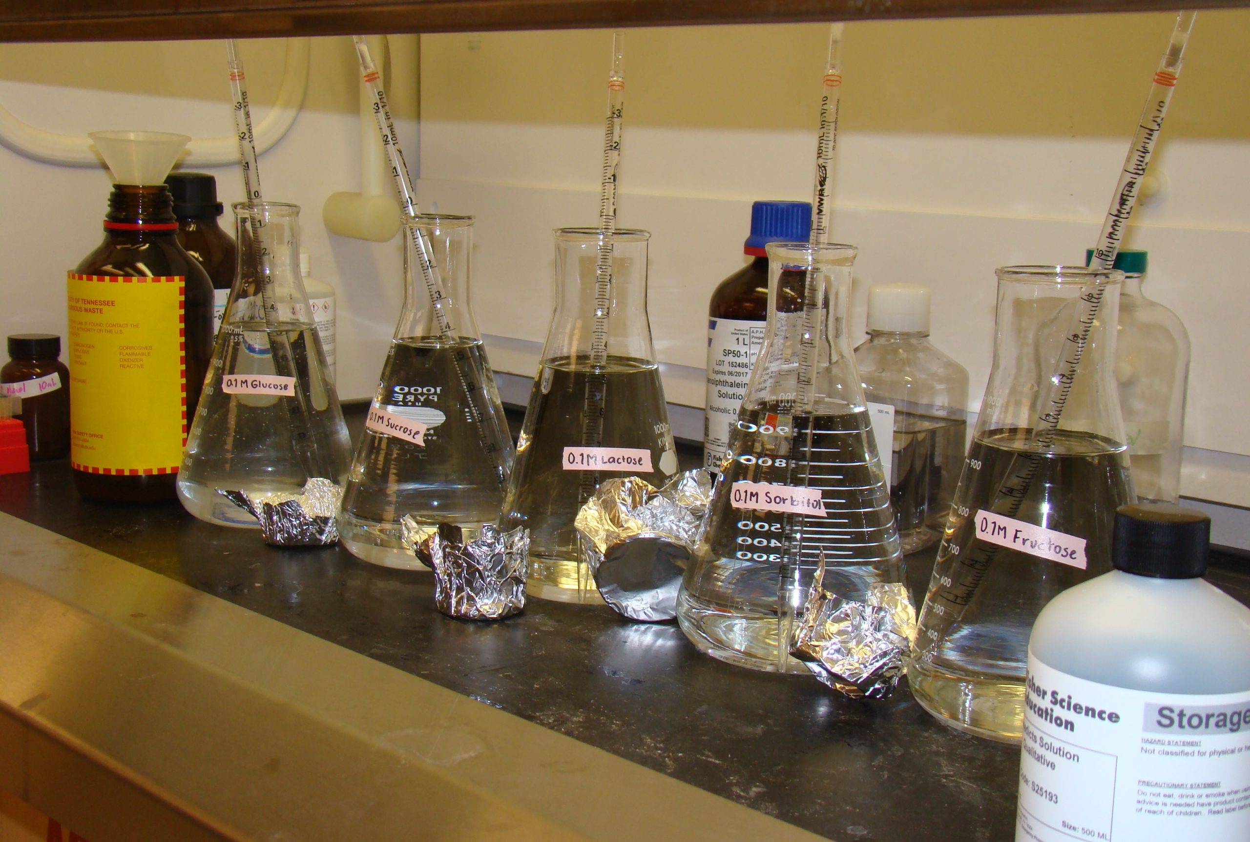 Food Chemistry, Quality, and Wellness | Department of Food Science