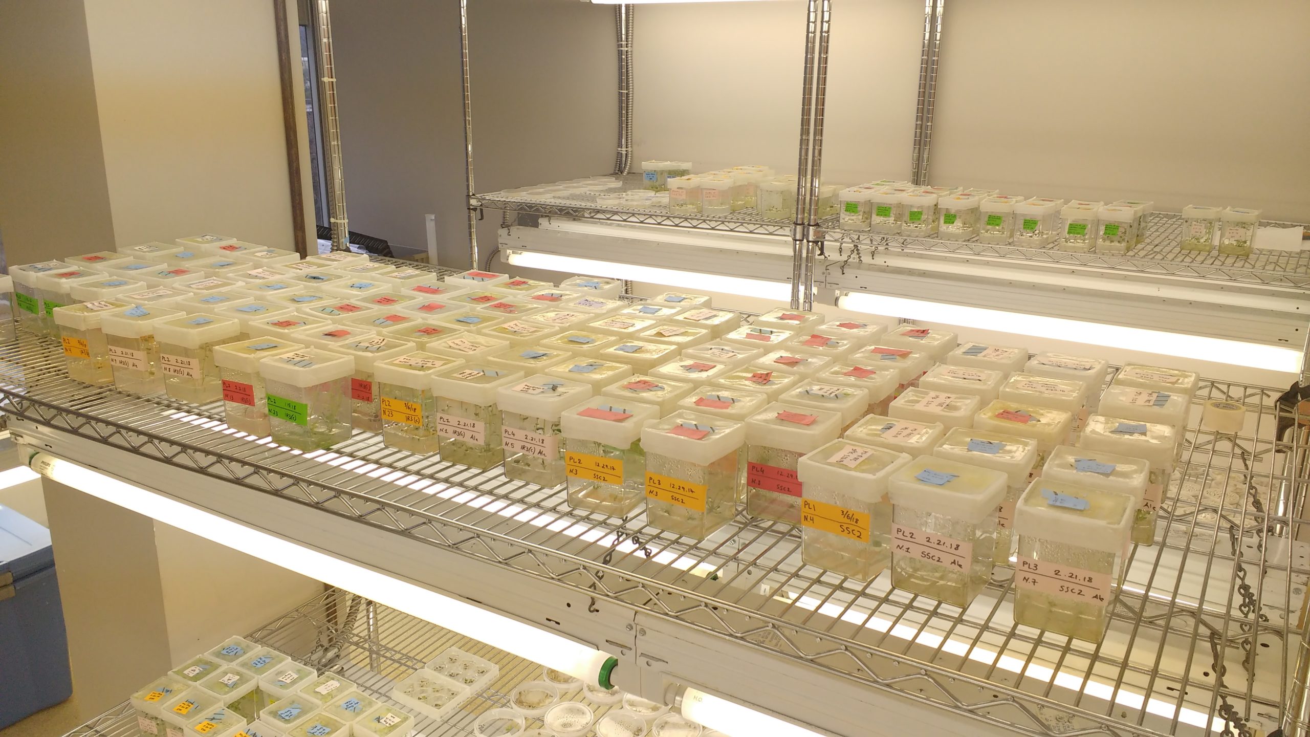 Food Safety, Security, and Biotechnology | Department of Food Science